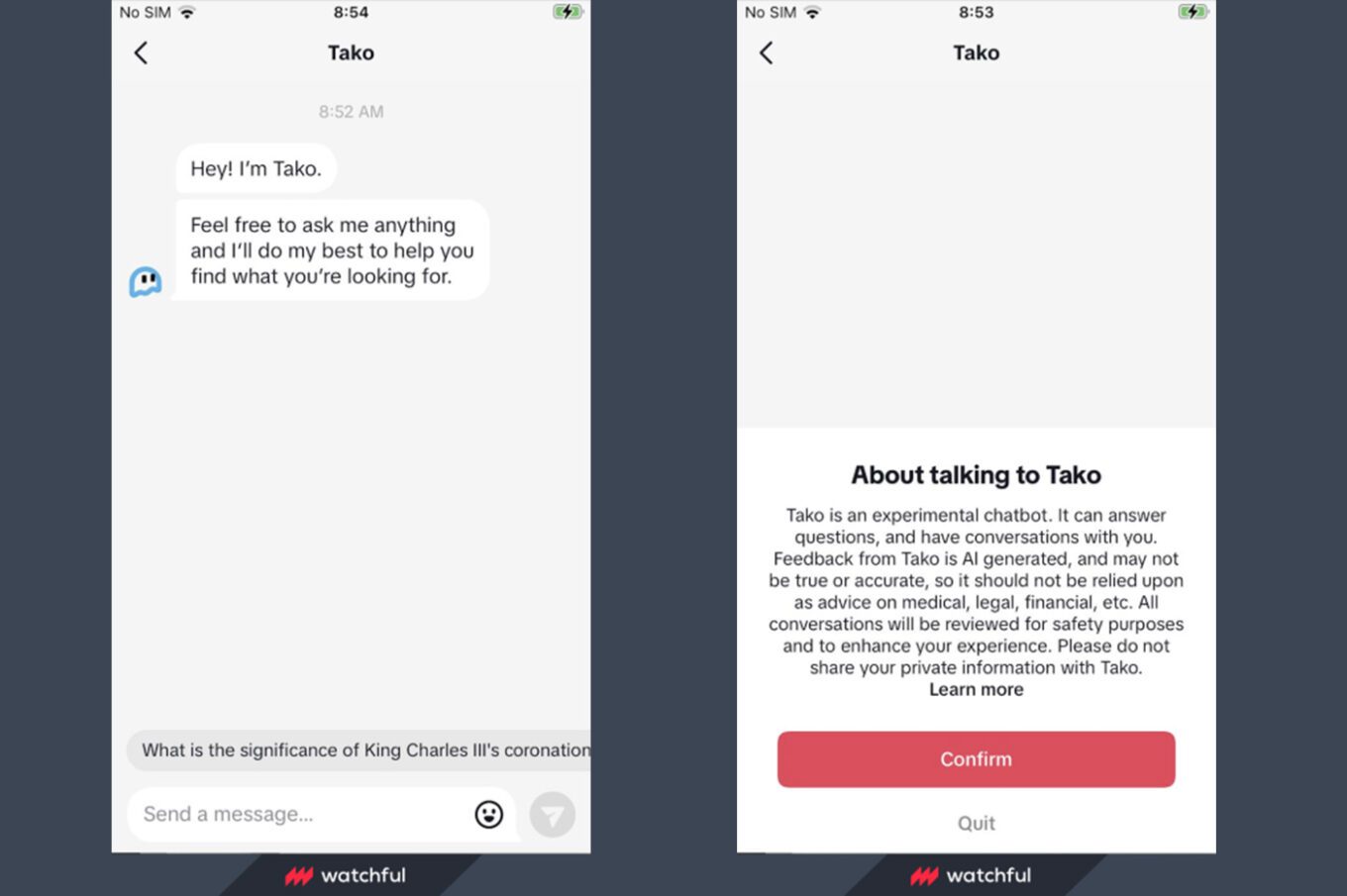 TikTok annonce Tako, sa réponse au ChatGPT de Snapchat