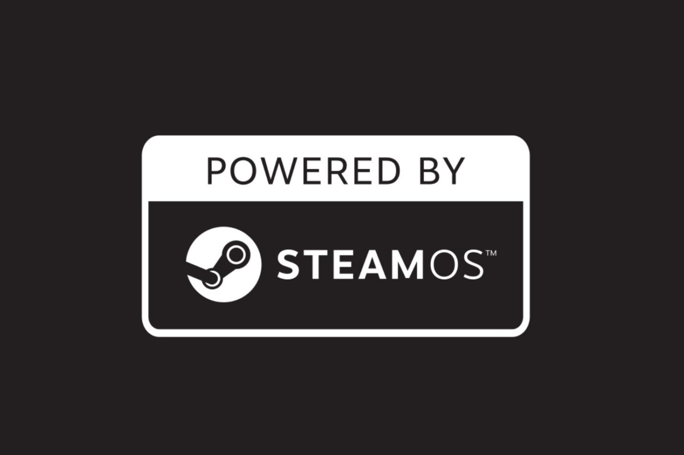Steam : comment jouer à distance à un jeu vidéo multijoueur local