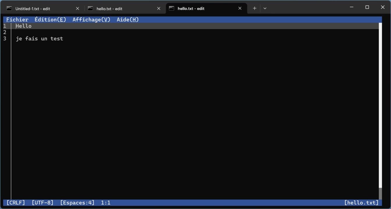 Windows 11 : Edit, le nouvel éditeur de texte de Microsoft, sera ...