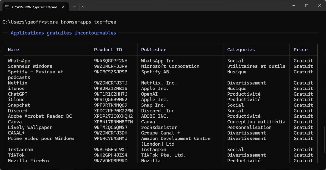 Windows 11 : une version spéciale du Microsoft Store est là, délire de ...