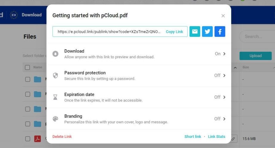 Google Drive vs pCloud: In-Depth Comparison for 2024