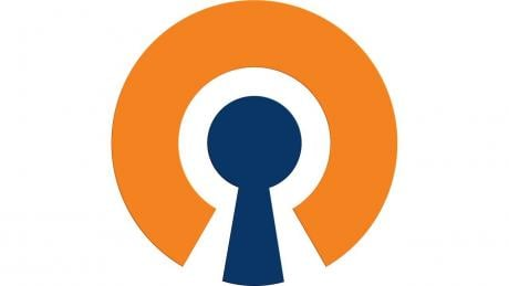 Télécharger OpenVPN GUI pour Windows, Web, Linux - Telecharger.com