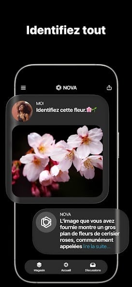 Télécharger Nova - Chatbot IA français pour Mac, Web, iOS, Android ...